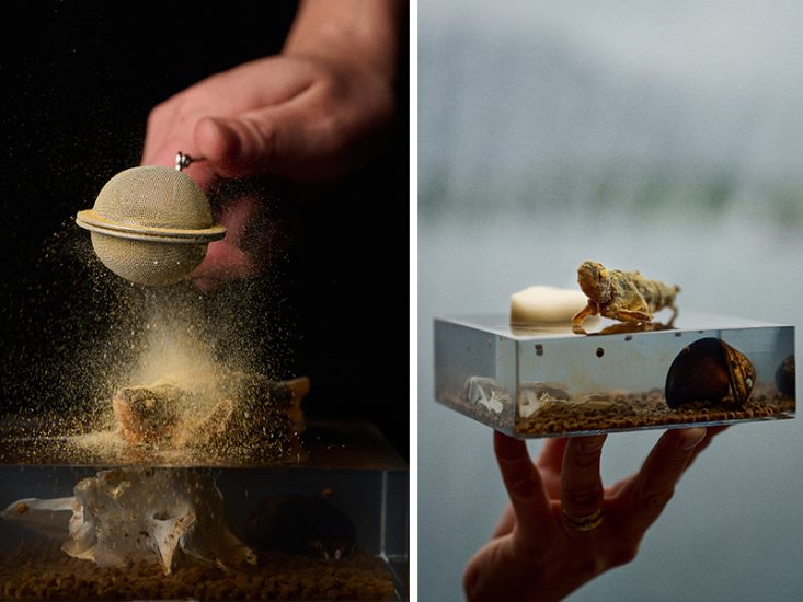 This Floating Restaurant In Norway Is A Culmination Of Sustainability ...